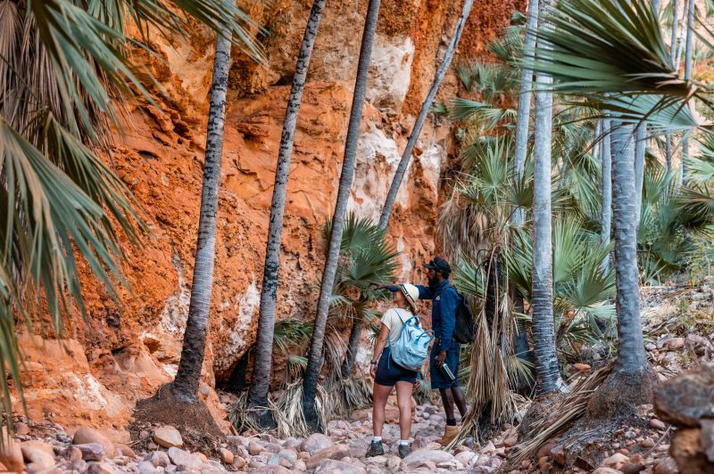 2026 Ord Valley Muster - Kimberley Experiences
